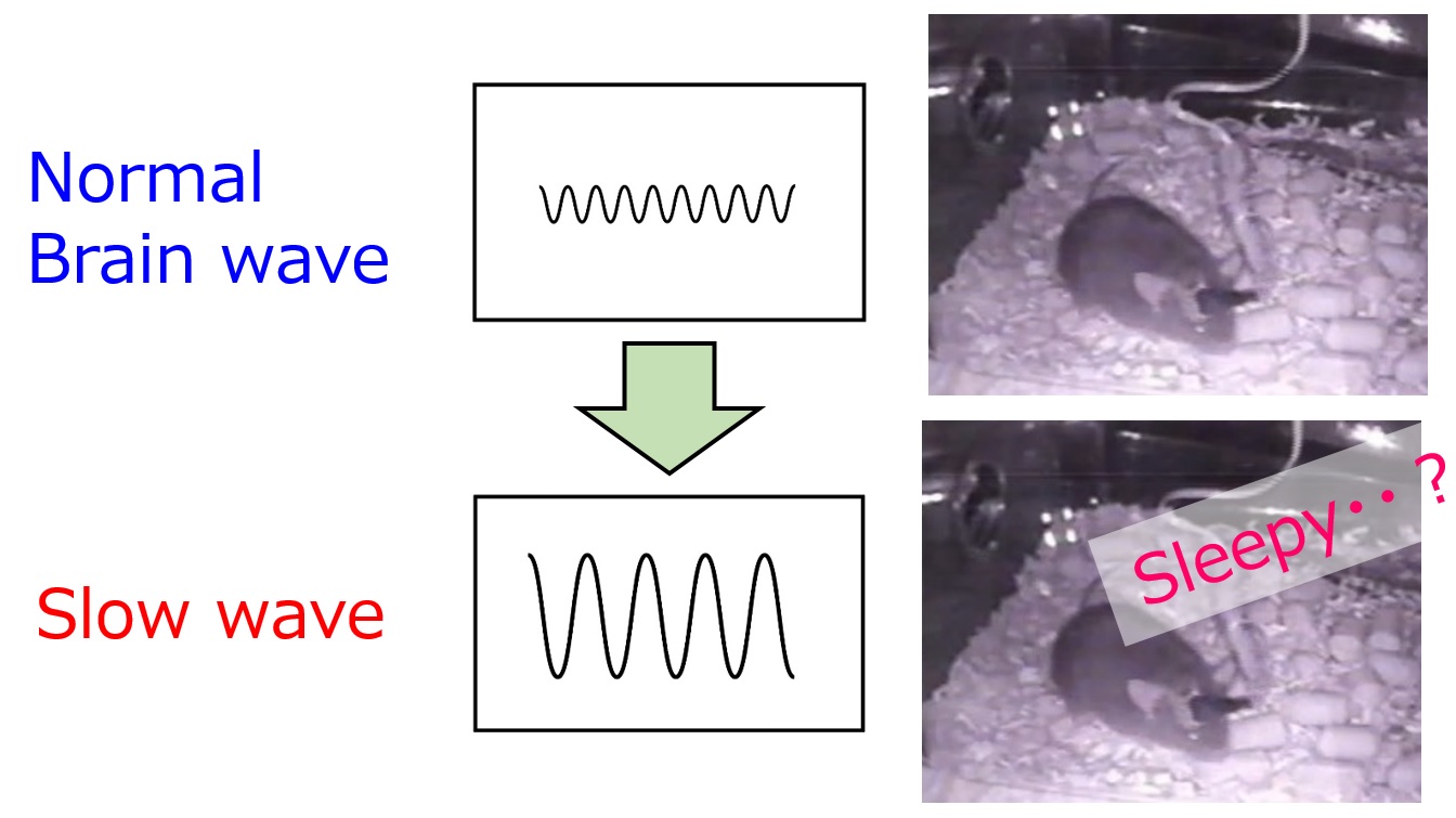 Research – LAZARUS/OISHI Laboratory